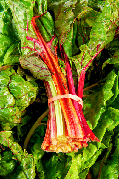 Swiss chard: about, nutrition data, photos, where found and 47 recipes